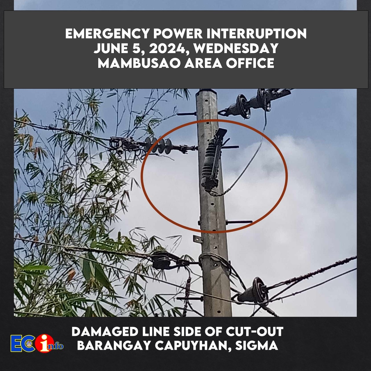 CONSOLIDATED REPORT OF EMERGENCY POWER INTERRUPTION - CAPELCO Official ...