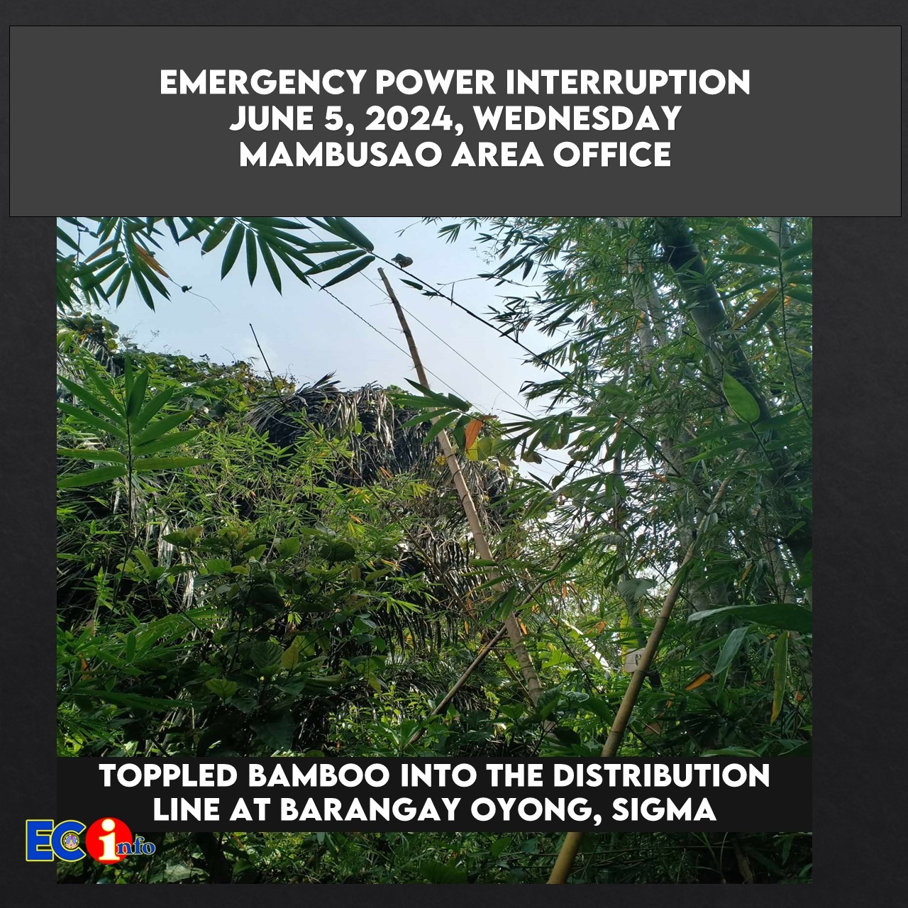 CONSOLIDATED REPORT OF EMERGENCY POWER INTERRUPTION - CAPELCO Official ...